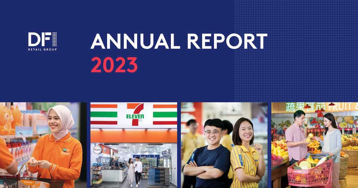 Introduction | DFI Annual Report 2023