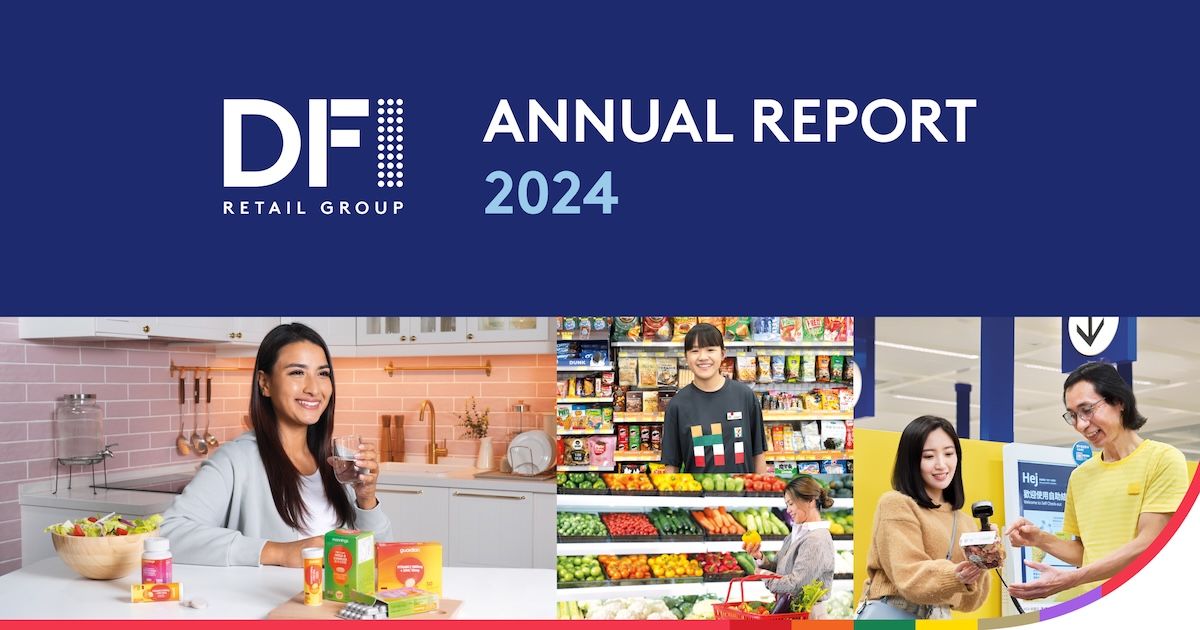 Introduction | DFI Annual Report 2024